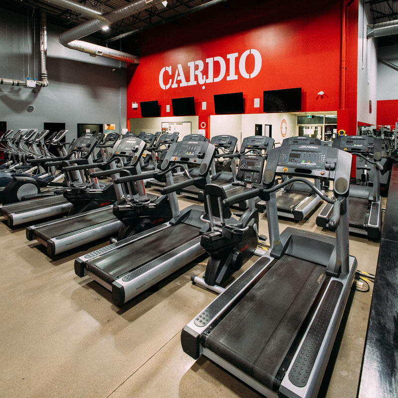 Cardio - Power House Gym